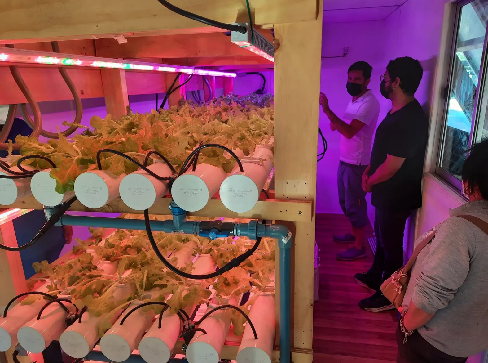 Urban Farm PV: Granja solar urbana con energía renovable ...