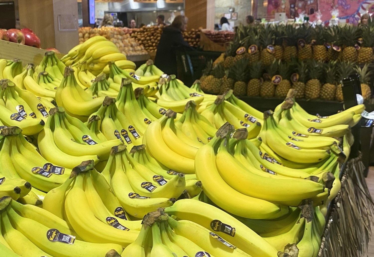 Kapi Kapi Growers registra crecimiento exponencial