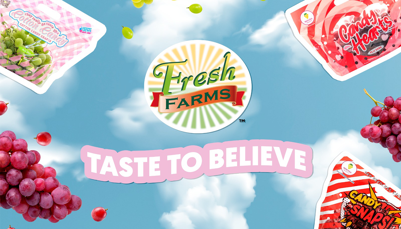 El éxito de Fresh Farms como productores líderes de uva de mesa