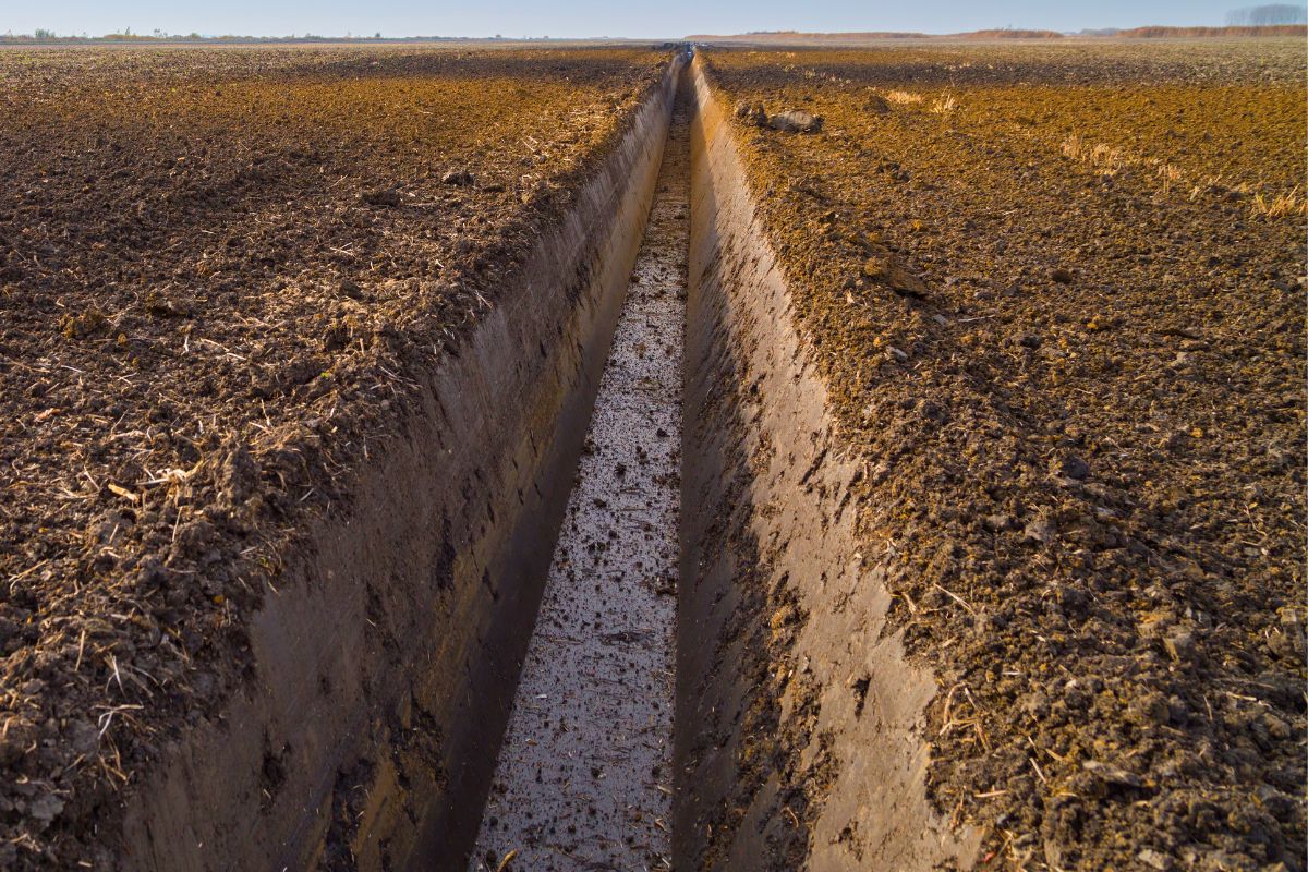 Cómo mejorar el drenaje en suelos agrícolas - PortalFruticola.com
