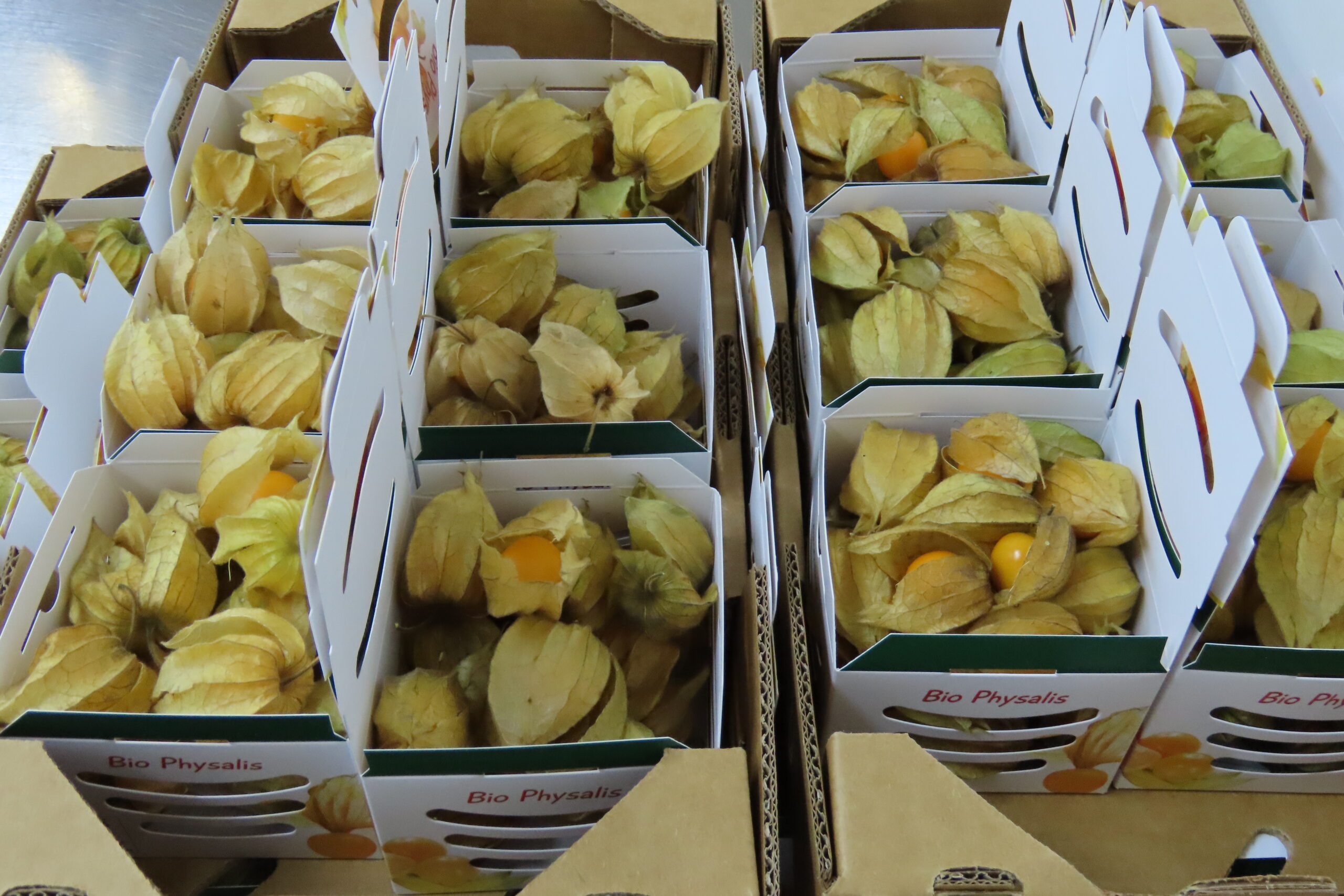 El potencial de la uchuva orgánica peruana