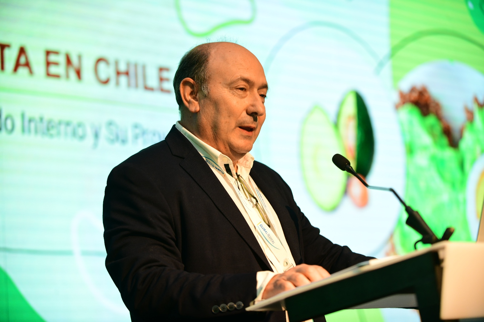 palta chilena