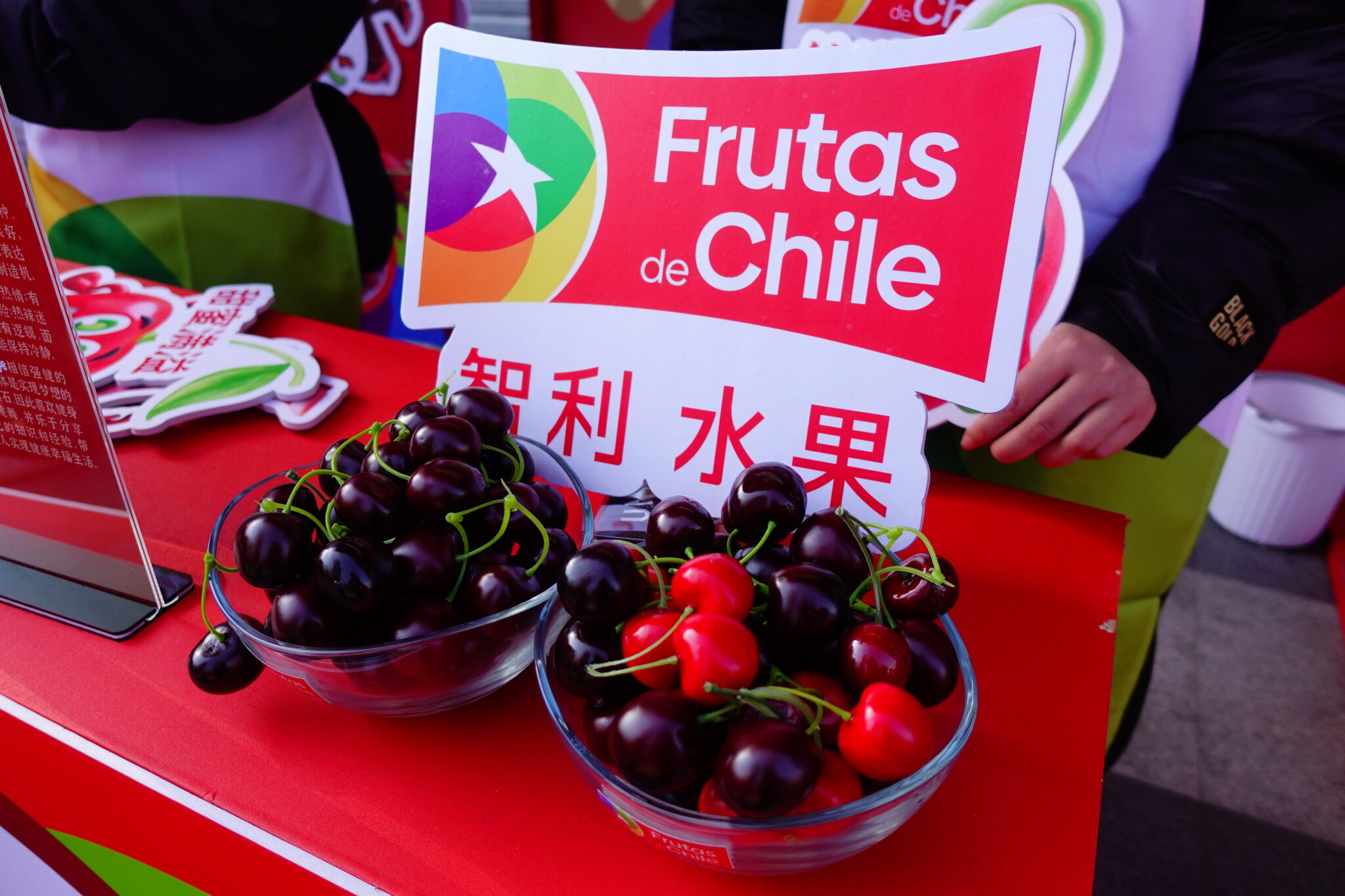 Industria chilena de la cereza está preparada para seguir creciendo