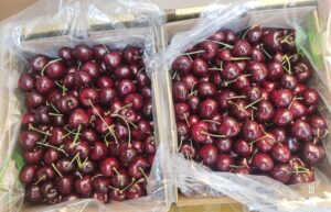 Cerezas chilenas de Subsole arriban a India