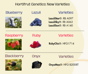 Hortifrut Genetics lanza estrategia de marca para berries