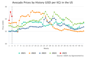 Precios del aguacate se disparan en Estados Unidos