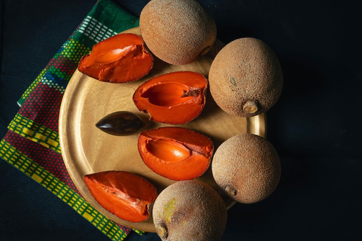 Zapote: 11 tips para cultivarlo con éxito