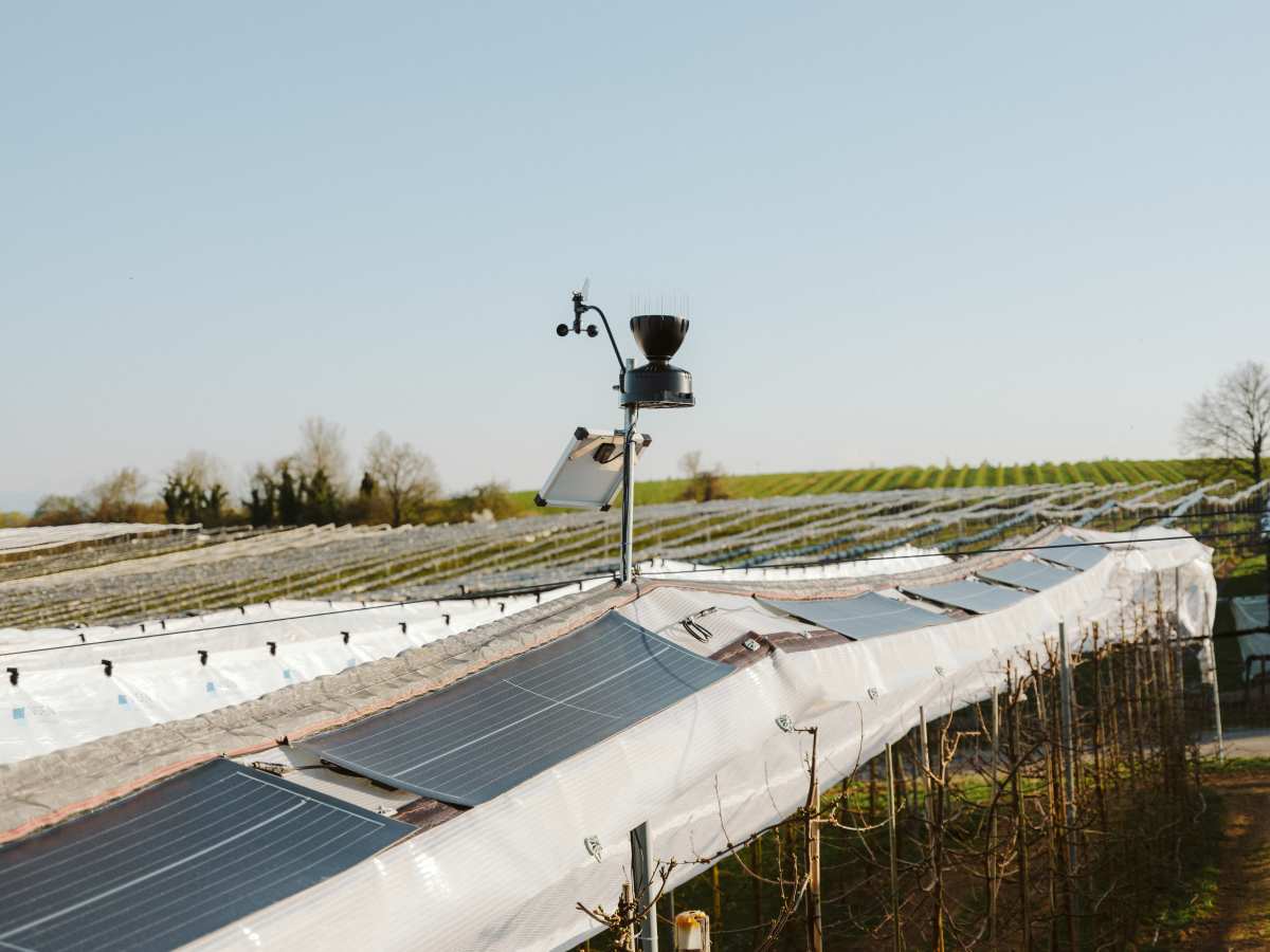 Módulos solares ultraligeros contra granizo en frutales