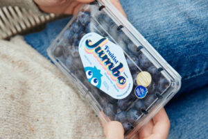 Agrovision ahora es Fruitist