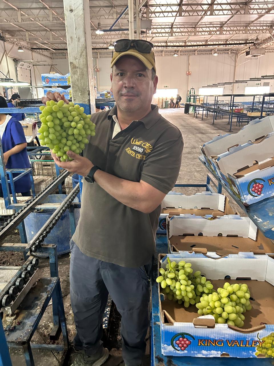 Optimización del riego y control fúngico en frutales: resultados con ...