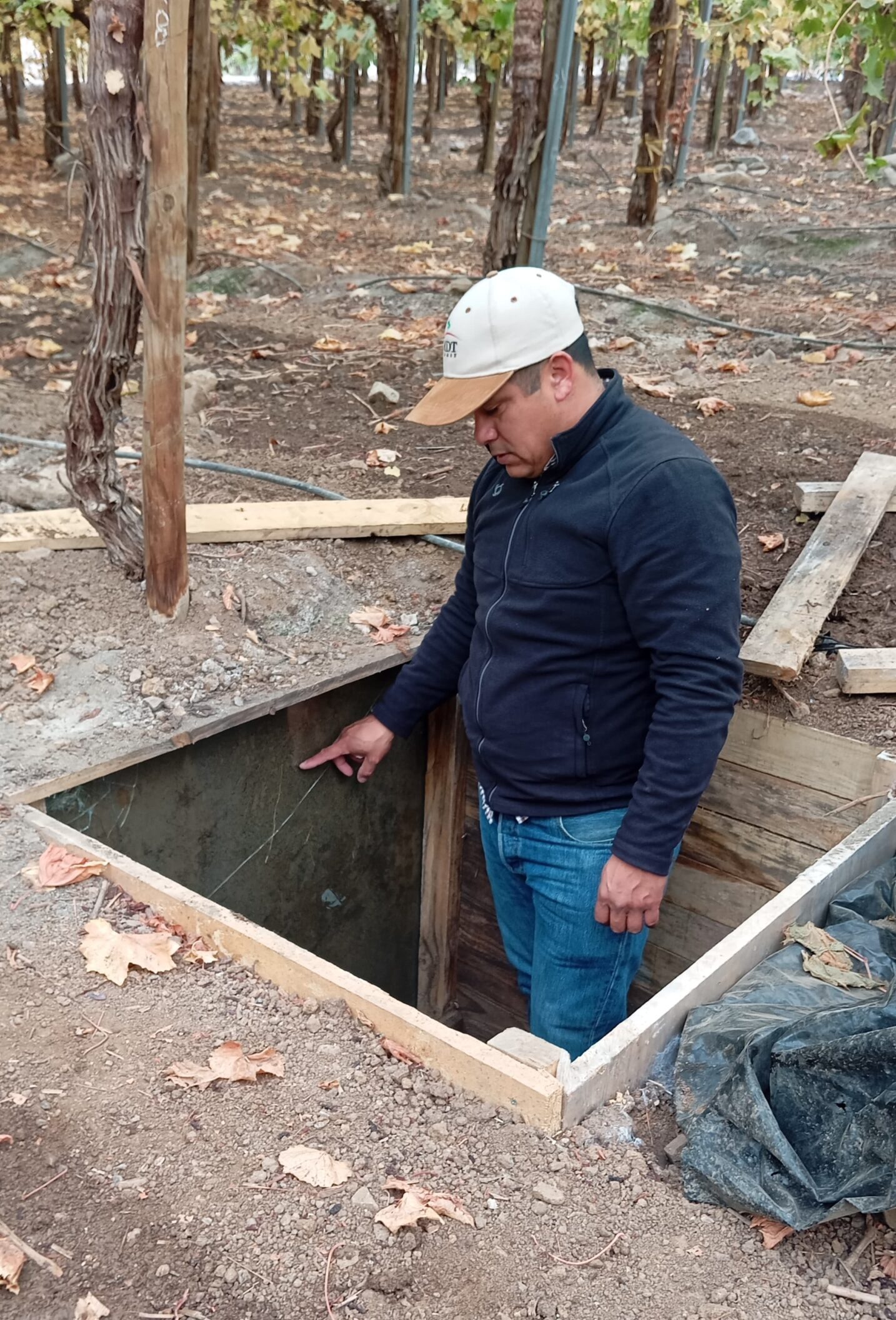 Optimización del riego y control fúngico en frutales: resultados con ...