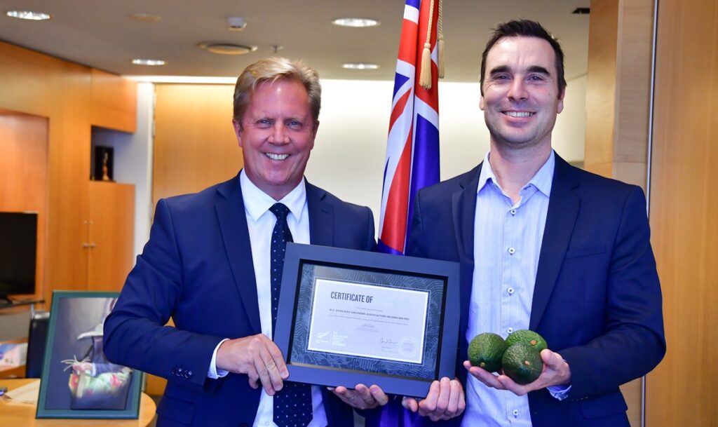 Aguacates de Nueva Zelanda ganan fuerza global con certificación FernMark