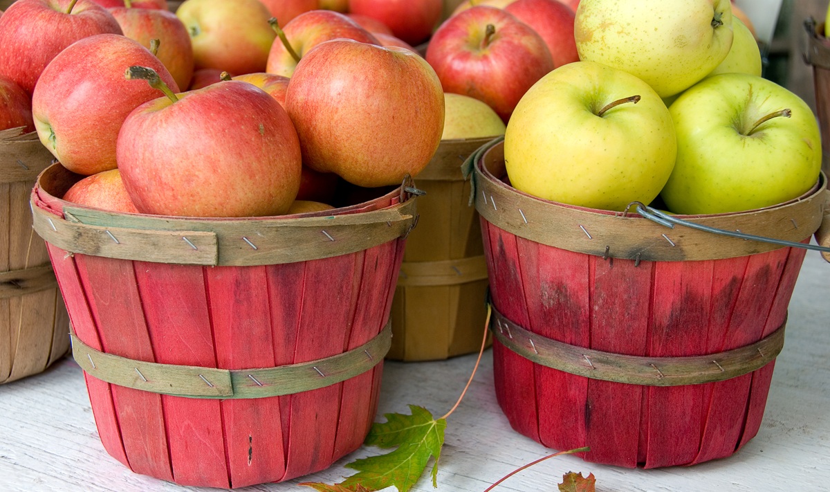 Productores de manzana de EE.UU. buscan oportunidades en el mercado global