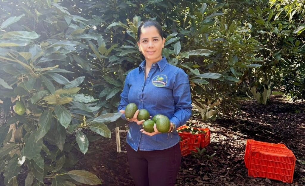 La mujer que se abrió camino en el aguacate de Jalisco: la historia de ...