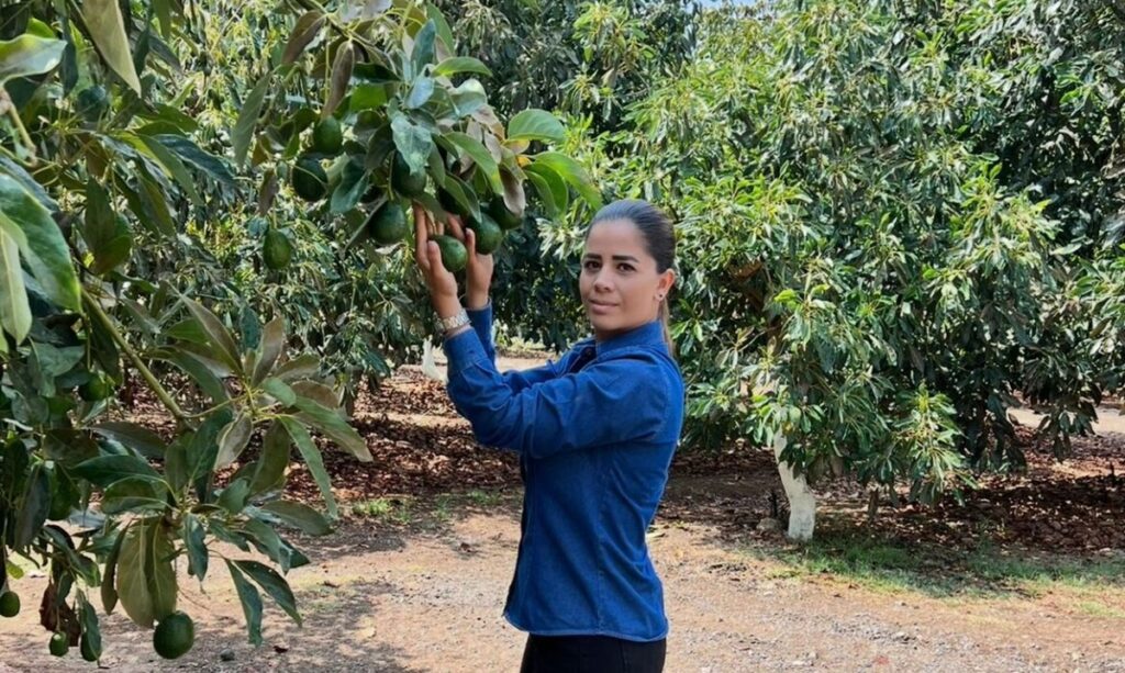 La mujer que se abrió camino en el aguacate de Jalisco: la historia de ...